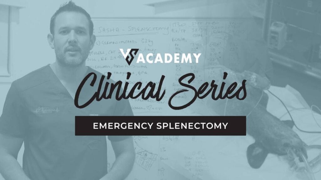 Emergency Splenectomy Online Course - MiniVet Guide