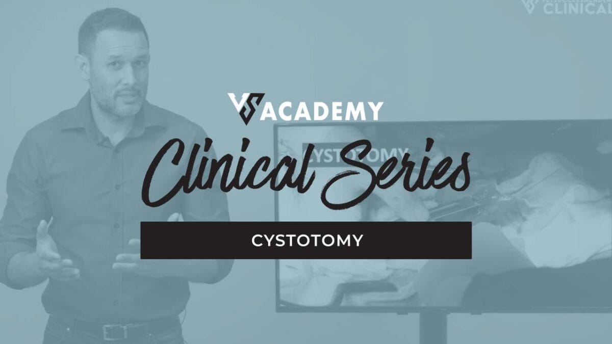 Cystotomy Online Course - MiniVet Guide